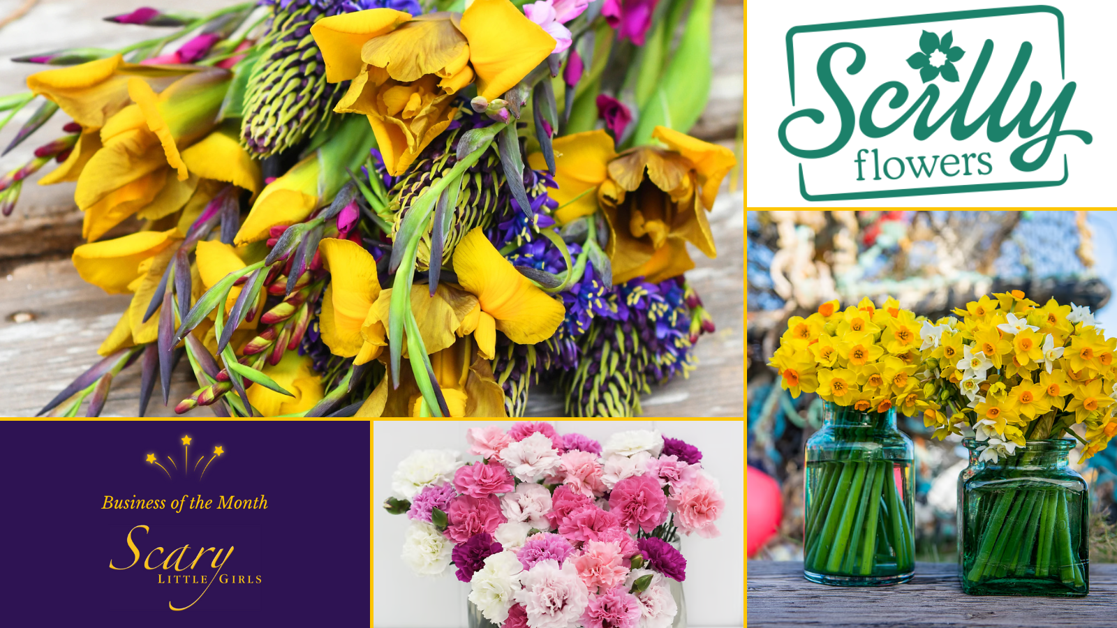 Sensationally scented Scilly Flowers - meet our September Business of ...